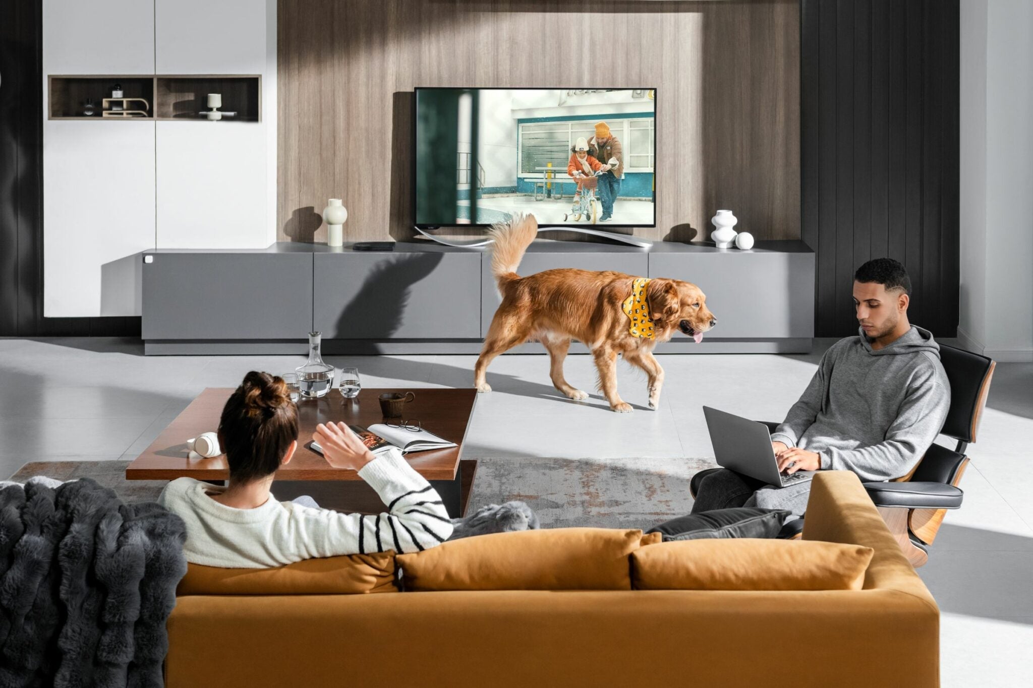 Pet-Friendly DIY Home Security Solutions for Your Home – Aqara LLC