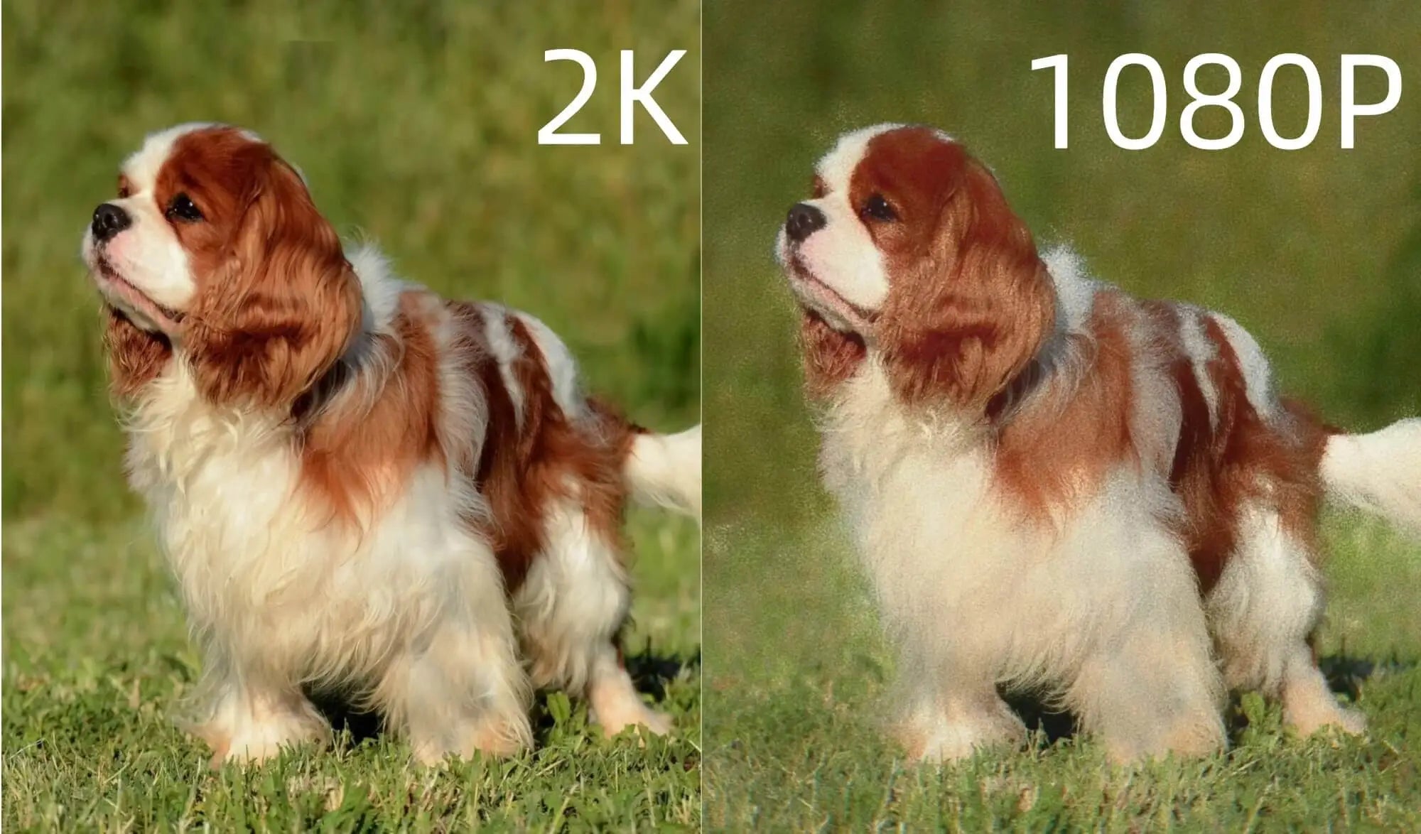 Is 2K Better Than 1080p? – Aqara LLC